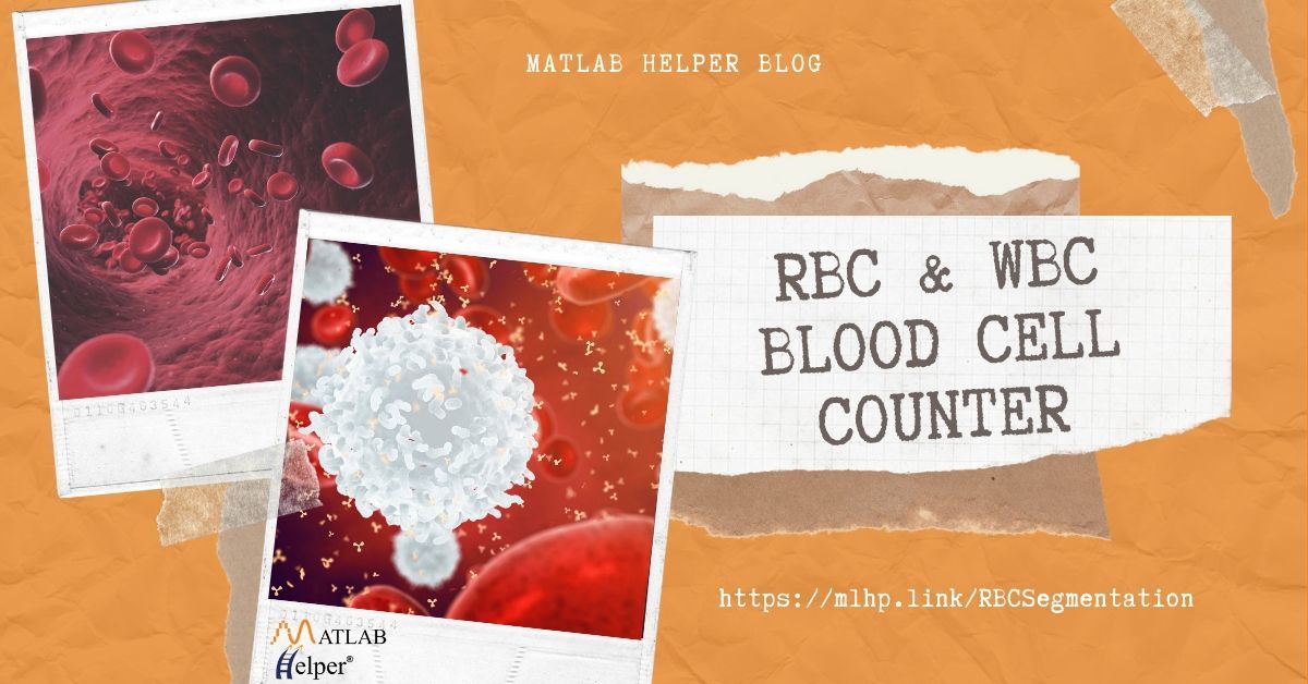 Blog | RBC & WBC Blood Cell Counter | MATLAB Helper