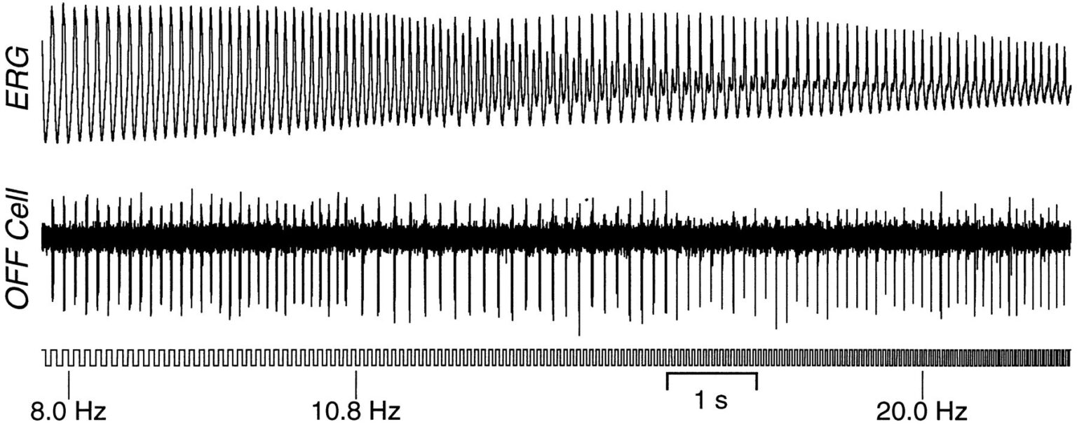 Blog | Logistic Map Equation | Chaos Theory | MATLAB Helper