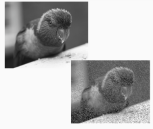 Blog | How To Convert Images From Spatial Domain To Frequency Domain | MATLAB Helper