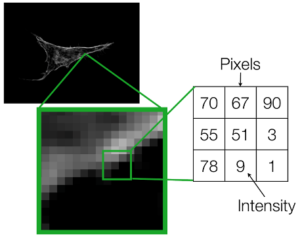 Blog | How To Convert Images From Spatial Domain To Frequency Domain | MATLAB Helper